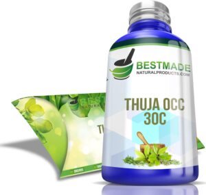 Thuja Occidentalis: A Complex Homeopathic Remedy - DailyHomeopathy.com